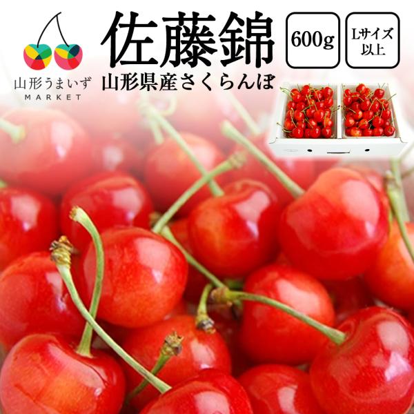 【さくらんぼの本場山形より産地直送】さくらんぼの中でも人気が高く、甘みと酸味のバランスが揃った佐藤錦をどうぞお楽しみください。バラ詰めタイプです。