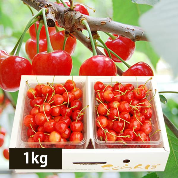 【さくらんぼの本場山形より産地直送】さくらんぼの中でも人気が高く、甘みと酸味のバランスが揃った佐藤錦をどうぞお楽しみください。バラ詰めタイプです。