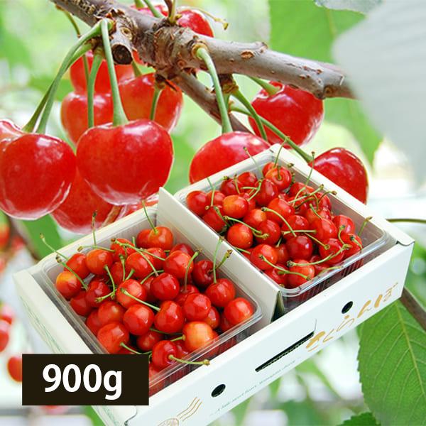 【さくらんぼの本場山形より産地直送】さくらんぼの中でも人気が高く、甘みと酸味のバランスが揃った佐藤錦をどうぞお楽しみください。ご家庭用サイズのためお買い得です。