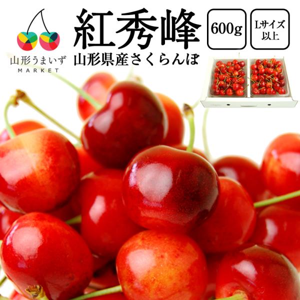 【大粒で甘いさくらんぼ紅秀峰】さくらんぼの本場山形で栽培されたさくらんぼ紅秀峰です。粒が大きく酸味が控えめで、より甘さが感じられます。7月上旬頃より産地直送でお届けいたします。お中元、ご贈答にも大変おすすめのさくらんぼです。