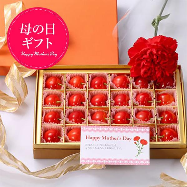 【母の日のギフトに最適】山形県産の最高級さくらんぼ佐藤錦を美しく箱に並べました。まるで赤い宝石のような美しいさくらんぼです。真紅の生カーネーション1輪を添えてお届けします！HAPPY MOHTER'S DAY！