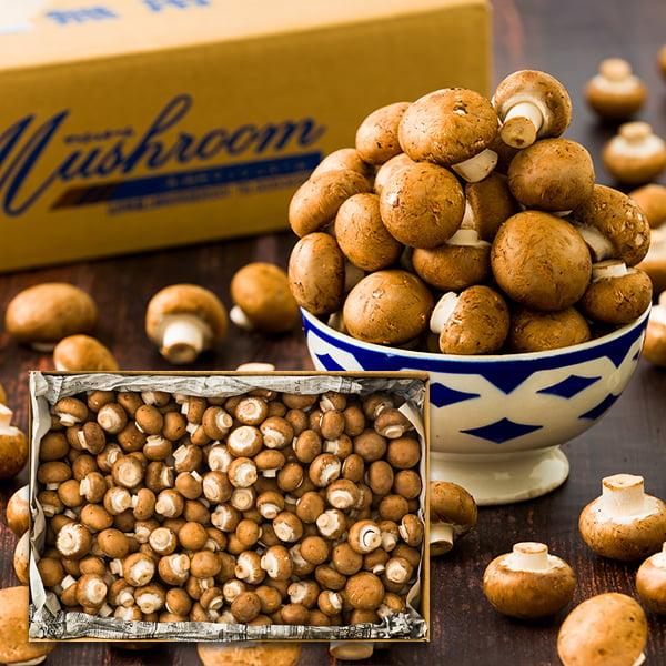 旨みたっぷり。人気商品の《訳あり》舟形マッシュルームに大容量タイプが登場です！産地直送、鮮度抜群の状態でお届けしますので、そのまま生で、さまざまなメニューでお楽しみください！
