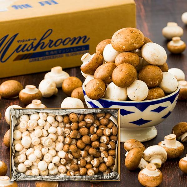 旨みたっぷり。人気商品の《訳あり》舟形マッシュルームに大容量タイプが登場です！そのまま生で、さまざまなメニューでお楽しみください！
