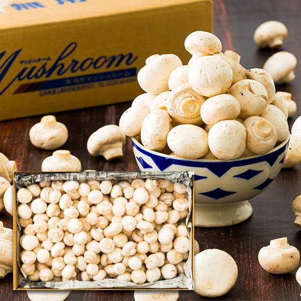 新鮮だから生でも食べられる！人気商品の《訳あり》舟形マッシュルームに大容量タイプが登場です！産地直送、鮮度抜群の状態でお届けしますので、そのまま生で、さまざまなメニューでお楽しみください！