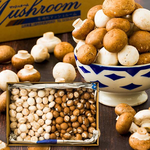 旨みたっぷり。人気商品の《訳あり》舟形マッシュルームに大容量タイプが登場です！そのまま生で、さまざまなメニューでお楽しみください！