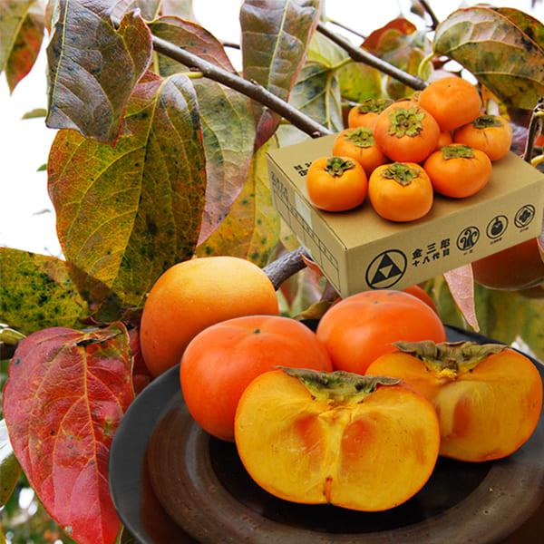 濃厚な甘さととろけるような食感の種なし庄内柿です。栽培方法にこだわり、手間ひまかけて焼酎脱渋をほどこした庄内柿をぜひどうぞ。