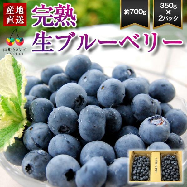 完熟で甘い！農薬を使わず、肥料も与えず栽培された、山形産の完熟生ブルーベリーです。7月中旬頃より発送です！
