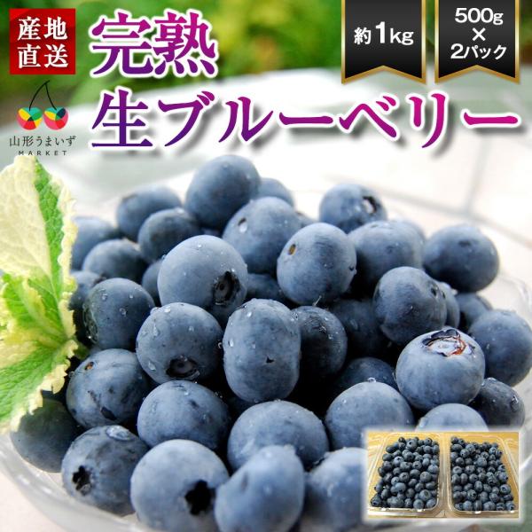 完熟で甘い！農薬を使わず、肥料も与えず栽培された、山形産の完熟生ブルーベリーです。7月中旬頃より発送です！
