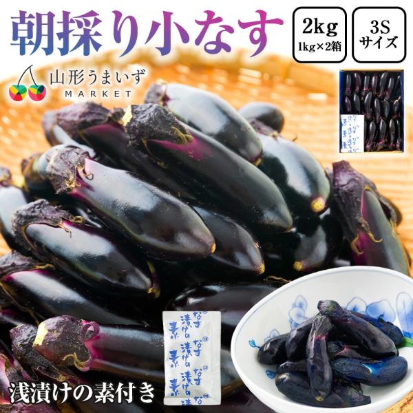 朝採りの新鮮で皮が柔らかい小なすを産地直送で！小ぶりなので漬物に最適！浅漬けの素もお付けしてお届けします！