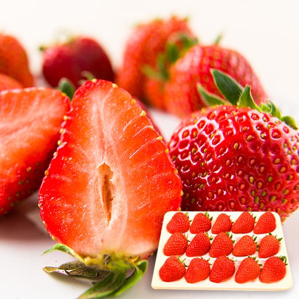 甘くて濃厚な味わいのピカピカに輝くいちご「よつぼし」です！朝摘みのものを一粒一粒丁寧に詰めて、その日のうちに山形から発送いたします！甘くて美味しいイチゴをご贈答にもぜひどうぞ。