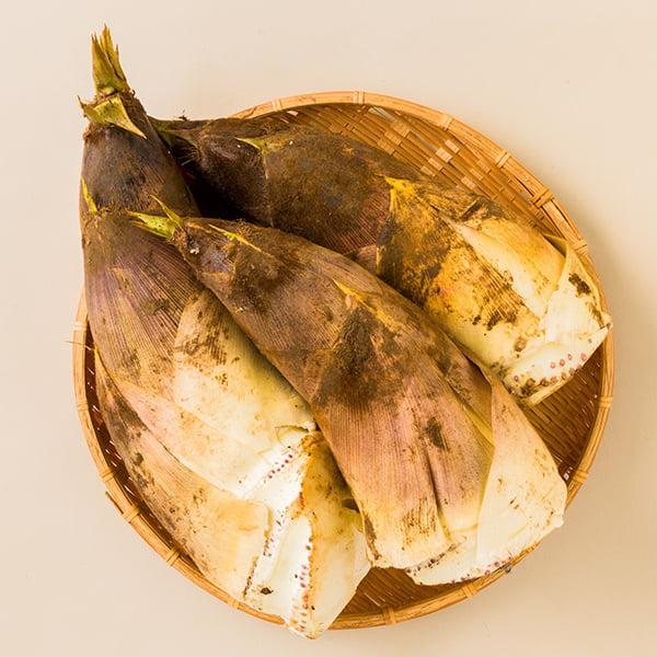 知る人ぞ知る筍「谷定孟宗（たにさだもうぞう）」。えぐみが少なくサクサクとした食感と旨みたっぷりのタケノコです。朝堀ったものをその日のうちに発送します！