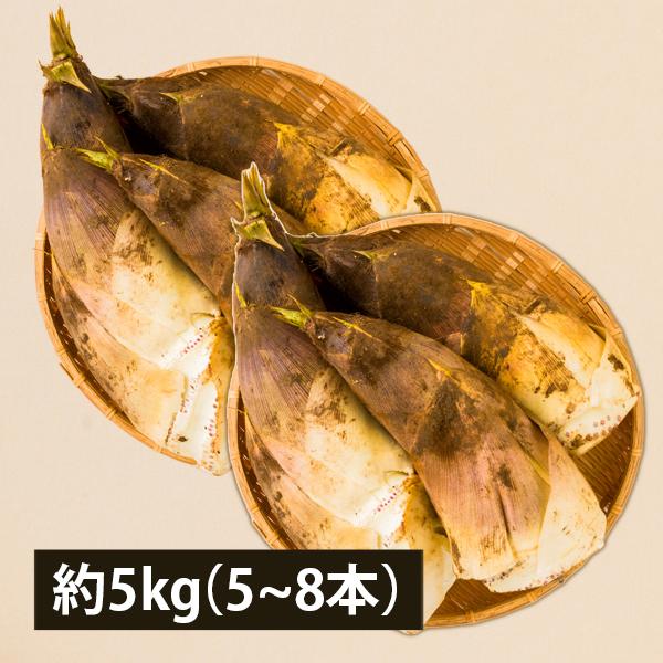 知る人ぞ知る筍「谷定孟宗（たにさだもうぞう）」。えぐみが少なくサクサクとした食感と旨みたっぷりのタケノコです。朝堀ったものをその日のうちに発送します！