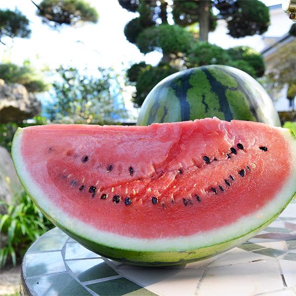 《訳あり》なのでお買得！多少の実の中割れ、表面のスレがありますが、味は美味しいスイカです！甘くてシャリ感抜群！今注目のすいか「羅皇（らおう）」です！栽培方法を工夫し、天候に関わらず甘いすいかを栽培しています。山形県村山市より産地直送でおとど...