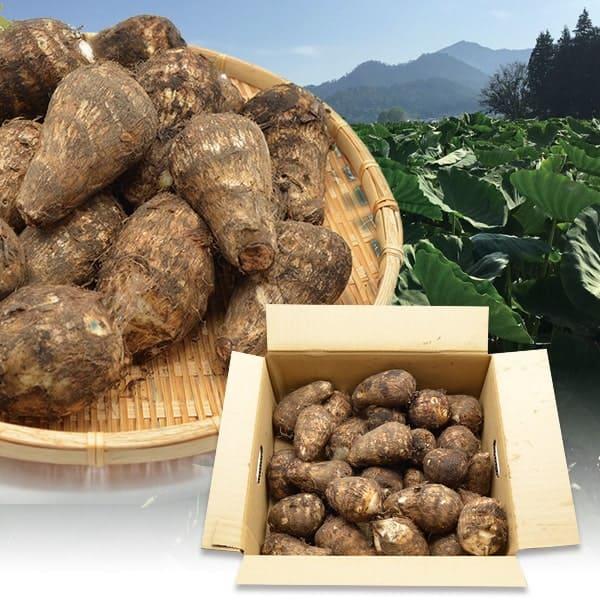 まるで絹のような純白で、旨みと粘りたっぷり。口の中でとろけるような食感の村岡さんの里芋をぜひ味わってみてはいかがですか？