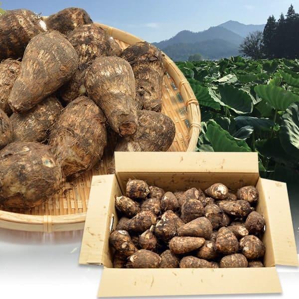 まるで絹のような純白で、旨みと粘りたっぷり。口の中でとろけるような食感の村岡さんの里芋をぜひ味わってみてはいかがですか？