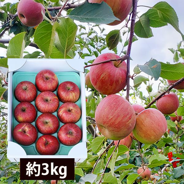 旬の時期に収穫したふじりんごにスマートフレッシュ処理を施すことで、もぎたてのみずみずしさとパリっとした食感が春まで楽しめるふじりんごです。果物栽培の盛んな山形県天童市の佐藤果樹園から産地直送でお届けします。