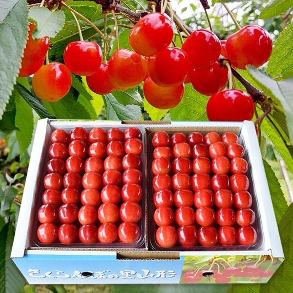 エコファーマー佐藤果樹園がつくる安心安全なさくらんぼです。甘みと酸味のバランスがとれたさくらんぼ佐藤錦をどうぞお楽しみください。ご贈答にも最適です。