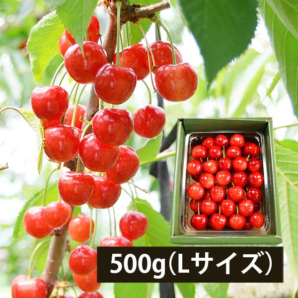 佐藤錦の美味しさが存分に味わえる甘いさくらんぼです。ご贈答にもぜひどうぞ。