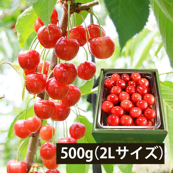 食べ応えのある大粒2Lサイズです。甘くて爽やかな味わいの佐藤錦をぜひどうぞ。ご贈答にも最適です。