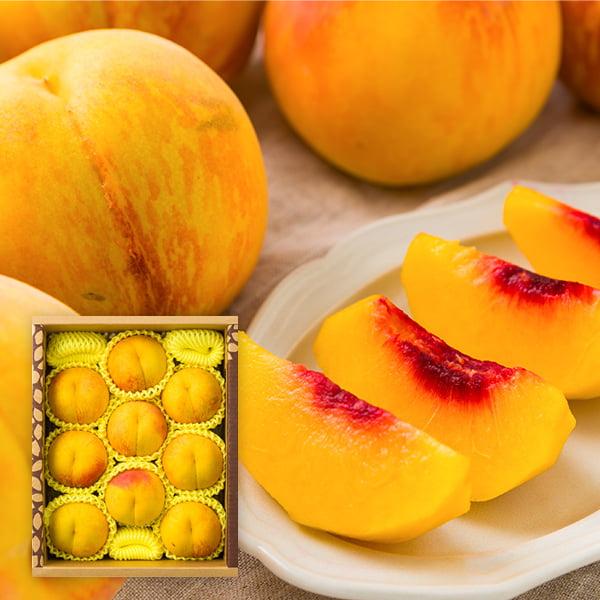 フルーツ王国山形の黄桃です。《訳あり》のためお買い得！黄桃ならではのトロピカルな味わいは、生食はもちろん、ジャムやお菓子作りなどにもおすすめです！