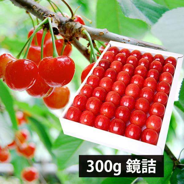 日本一のさくらんぼの産地、山形県が誇るブランド品種が「佐藤錦」です。その美しい宝石のような鮮やかな赤い色合いと、ひと粒頬張った瞬間に広がる上品な甘さが特徴です。甘味と酸味のバランスが絶妙で、「さくらんぼの王様」とも呼ばれます。大切な方への贈...