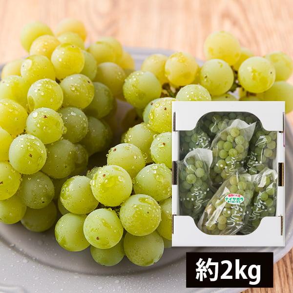 美しい緑色の粒と爽やかで甘い香りが特徴のナイアガラは、ひと口食べた瞬間に広がる芳醇な香りが魅力。やや柔らかめの果肉からあふれる甘みたっぷりの果汁が、口いっぱいに広がり、心地よい満足感をもたらしてくれます。また、山形のぶどうの中では昔から栽培...
