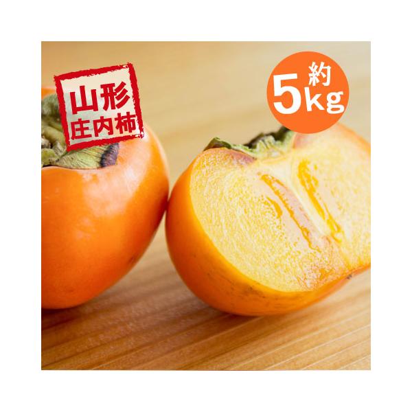 【発売日：2026年11月06日】＼脱渋済訳あり庄内柿／送料無料♪【山形県産庄内柿】種がないからガブッと丸かじり♪【内容量】約５キロ（35玉前後）【常温にて発送】2026年11月上旬頃より順次発送開始予定です。【送料について】沖縄県を含む離...