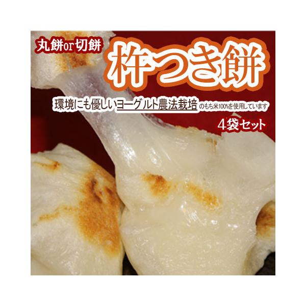 【発売日：2026年12月05日】