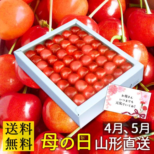 山形県産佐藤錦が一足先に食べられる！4〜5月お届け加温栽培さくらんぼ。母の日のギフトにもどうぞ♪<br><br>