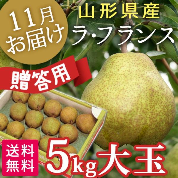 商品内容：山形県産ラフランス秀４Ｌ〜３Ｌ　5kg（14玉〜16玉）お歳暮などのギフトにもオススメ。贈答用には熨斗対応OK。11月中旬〜12月中旬頃お届け（ご予約商品）