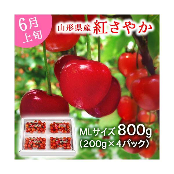 ■商品詳細山形県産 さくらんぼ 紅さやか 200g×4パック(800g)  バラ詰MLサイズ5月末〜6月上旬発送予定。日付指定不可。最適な時期にお届けします。■紅さやか◆初夏を告げる爽やかな甘み!早生品種「紅さやか」最初に楽しめる早生品種「...