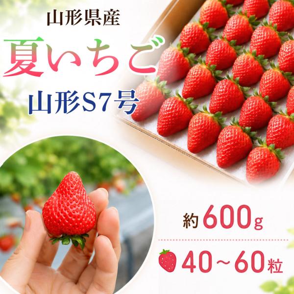 ■商品詳細山形県産夏秋いちご　山形S7号内容量：40粒〜60粒 約600g(粒数の指定はお受けできません)品質保証：到着日限り生産元：ベジプラスファーム■山形S7号について山形県で誕生した夏秋いちごの新品種山形S7号。夏いちごは甘みが乗る前...
