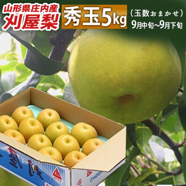 名称：和梨【秀玉（しゅうぎょく）】産地名：山形県酒田市刈屋地区発送時期：9月下旬頃内容量：約5kg（玉数おまかせ）生産者：刈屋梨出荷組合発送方法：常温保存方法：ご到着後、要冷蔵。1週間以内にお召し上がり下さい品質保証期間：到着日限りその他：...
