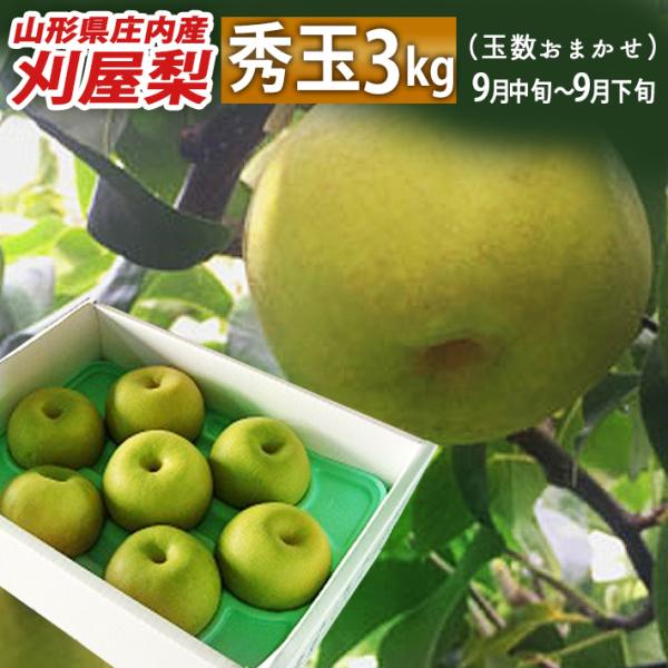 名称：和梨【秀玉（しゅうぎょく）】産地名：山形県酒田市刈屋地区発送時期：9月中旬〜9月下旬頃内容量：約3kg（玉数おまかせ）生産者：刈屋梨出荷組合発送方法：常温保存方法：ご到着後、要冷蔵。1週間以内にお召し上がり下さい品質保証期間：到着日限...