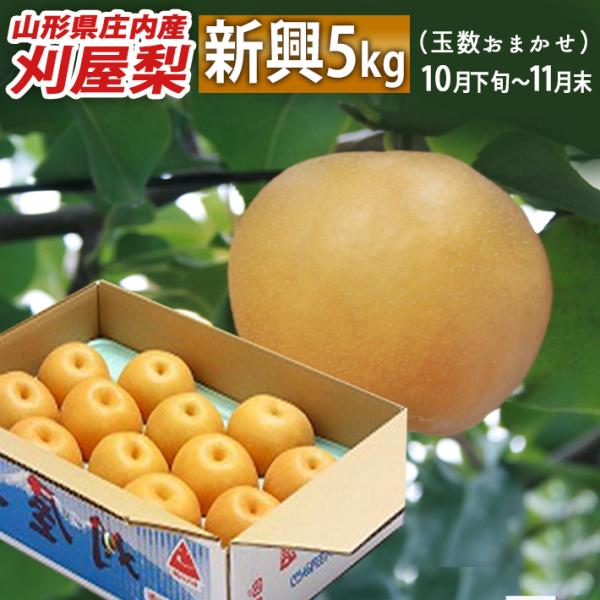 年末まで楽しめる品種ブランド刈屋梨の中でもさっぱり系の品種。みずみずしく甘みの中に酸味のある和梨です。10月下旬〜11月上旬頃の発送予定です。■名称　　　　　和梨■産地名　　　　山形県酒田市刈屋地区■内容量　　　　約3kg(玉数おまかせ)■...