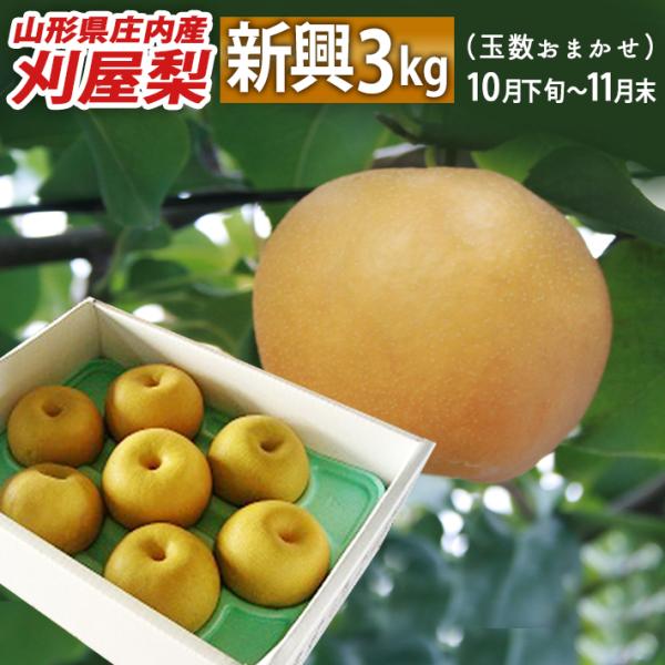 ブランド刈屋梨の中でもさっぱり系の品種。みずみずしく甘みの中に酸味のある和梨です。[10月下旬からお届け]の発送予定です。■名称　　　　　和梨■産地名　　　　山形県酒田市刈屋地区■発送時期　　　10月下旬〜11月上旬頃■内容量　　　　約3k...