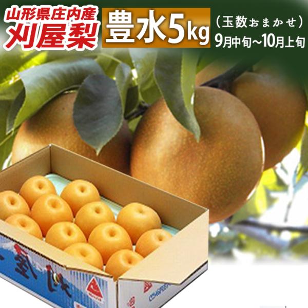 ジューシーで濃厚な味わいの品種幸水よりもやや柔らかめ。糖度は高く程よい酸味があるため濃厚な味わいです。9月中旬頃の発送予定です。■名称　　　　　和梨【豊水（ほうすい）】■産地名　　　　山形県酒田市刈屋地区■発送時期　　　9月中旬〜10月上旬...