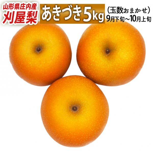 ■■品種説明果実は大きく、果肉はやわらかくて緻密。豊水や幸水に比べて酸味が少なく、甘味をしっかり感じられます。■■出荷時期9月下旬〜10月15日頃■■生産地山形県庄内地方刈屋地区■■品質保証商品到着日のみ（必ず商品到着後中身をご確認下さい。...