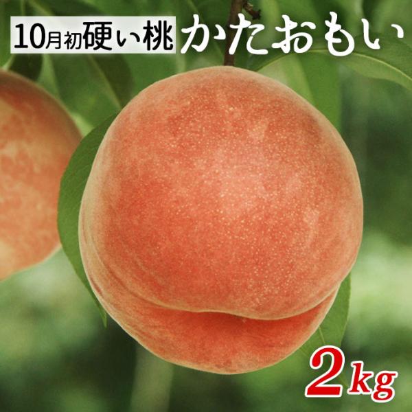 ■商品説明山形県産かたい桃　硬おもい約2kg 4-6玉品質について・果形は扁円形で超大玉350ｇ平均・糖度15度で、酸味が少なく甘い・実引き締まり硬くカリカリ感の持続性が特に良い・収穫期10月初旬の最晩生種品質保証：到着日限り■品種説明新品...
