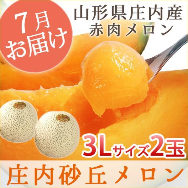 山形県庄内産赤肉メロン２個セット