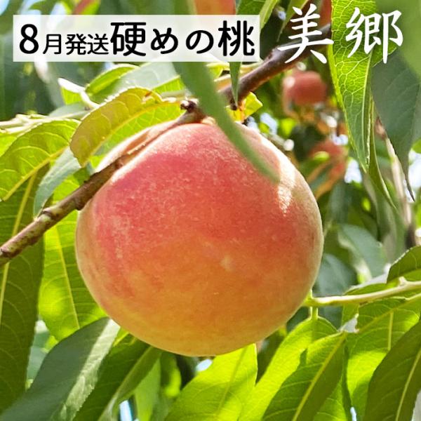 ■商品説明山形県産白桃　美郷 約3kg 玉数おまかせ品質保証：到着日限り（発送日から2日以内）■品種説明品種：美郷（みさと）美郷は山形県で生まれた品種です。硬めの果肉としっかりとした歯ごたえが特徴で、一口食べるとその爽やかな甘さが口いっぱい...