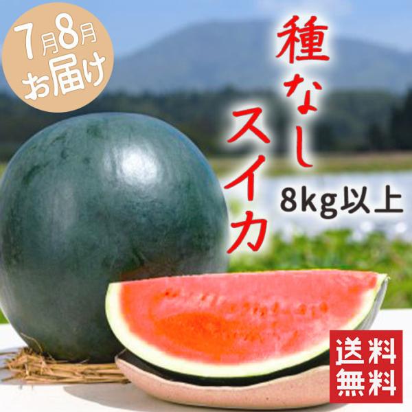 ■サイズブラックジャック 8kg以上。■要確認事項■産地直送のため、他の商品との同梱不可です。他の商品もご希望の際、別途送料がかかる場合がございます。（送料無料商品は除く）■天候により収穫量の変動があるため、日時指定はお受けできません。■7...