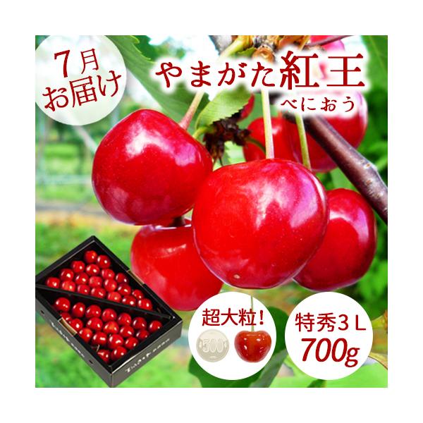 ■やまがた紅王「やまがた紅王」は、山形県が20年以上の歳月をかけて開発した大玉のさくらんぼ新品種です。その名の通り、鮮やかな紅色と王様のような存在感が特徴で、2023年に本格デビューを果たしました。さくらんぼとして有名な「佐藤錦」、「紅秀峰...