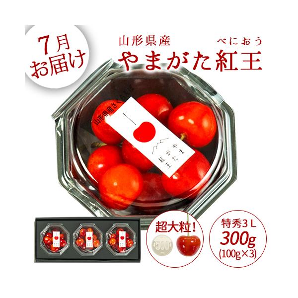 ■やまがた紅王「やまがた紅王」は、山形県が20年以上の歳月をかけて開発した大玉のさくらんぼ新品種です。その名の通り、鮮やかな紅色と王様のような存在感が特徴で、2023年に本格デビューを果たしました。さくらんぼとして有名な「佐藤錦」、「紅秀峰...