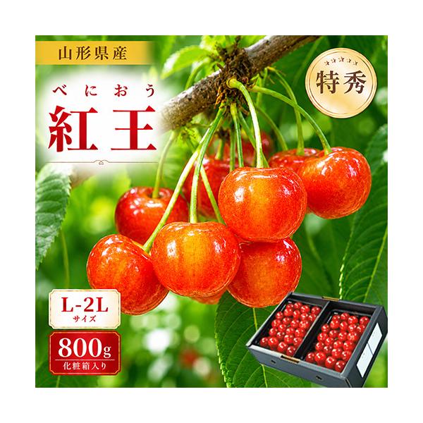 ■やまがた紅王「やまがた紅王」は、山形県が20年以上の歳月をかけて開発した大玉のさくらんぼ新品種です。その名の通り、鮮やかな紅色と王様のような存在感が特徴で、2023年に本格デビューを果たしました。　さくらんぼとして有名な「佐藤錦」、「紅秀...
