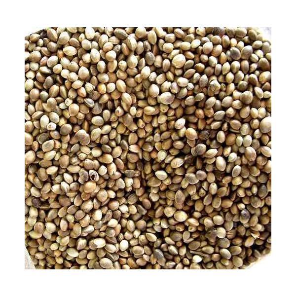 【特長】カナリヤシード、ヒマワリよりも脂質が低いです。中型、大型の鳥が好んで食べます。この麻の実は、ロースト（加熱した）処理をしておりますので、発芽しません。麻の実の粒の大きさは、およそ3mm以上です。【与え方】毎日食べただけ補給して下さい...