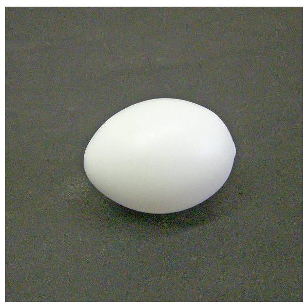 【特徴】ヒナのかえる日を揃えたい時に、先に産んた卵とすり替えたり、卵を産ませたくない時などに使います。（卵があることによりある程度の発情抑制になります。）【仕様】サイズ：40mm×30mm※メール便発送不可