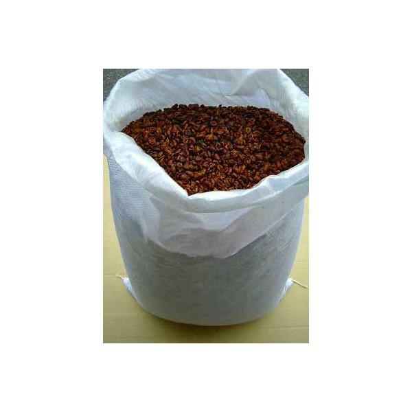 【特長】・サナギ独特の臭いが夏場の食欲不振に陥った錦鯉の食欲を増進させます。・夏場に与えると照りのあるきれいな錦鯉に仕上がります。・肝機能を高める効果もあります。※高タンパク飼料ですので水温20度以上でお与え下さい。※コンクリート池でサナギ...