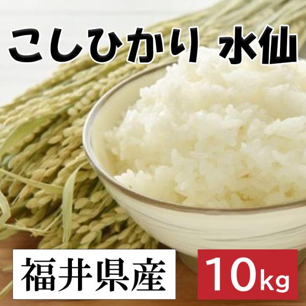 ●コシヒカリは日本で一番食べられているお米。●漢字にすると『越光』と書き、「越の国に光り輝く」という意味。越国（こしのくに）は北陸地方のことです。●味、粘り、つや、弾力などに優れていて、もっちりとした食感が特徴。●昼と夜の寒暖差がある北陸の...