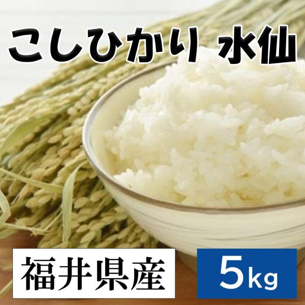 ●コシヒカリは日本で一番食べられているお米。●漢字にすると『越光』と書き、「越の国に光り輝く」という意味。越国（こしのくに）は北陸地方のことです。●味、粘り、つや、弾力などに優れていて、もっちりとした食感が特徴。●昼と夜の寒暖差がある北陸の...